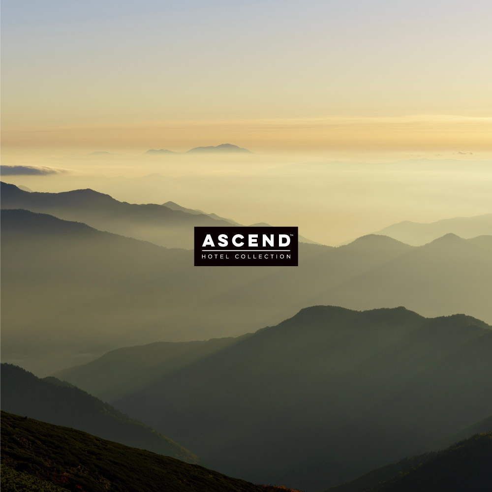 WORKS【公式】PRIME BRANDING DESIGN